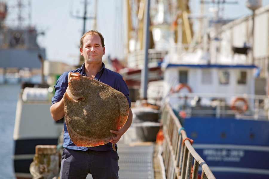 Noordzeevis uit IJmuiden
